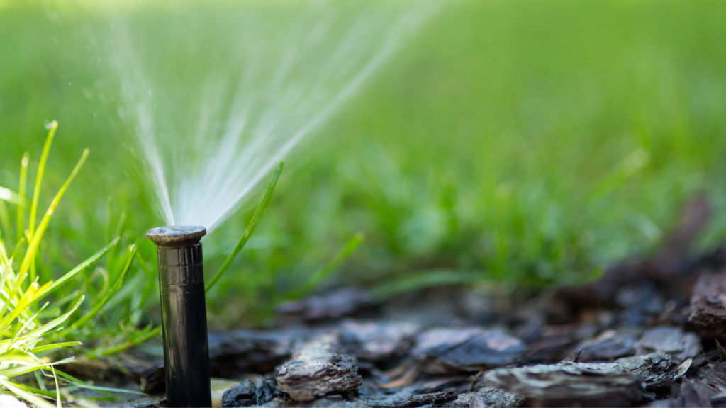 Are you overwatering your turf? - Brisbane Sustainability Agency