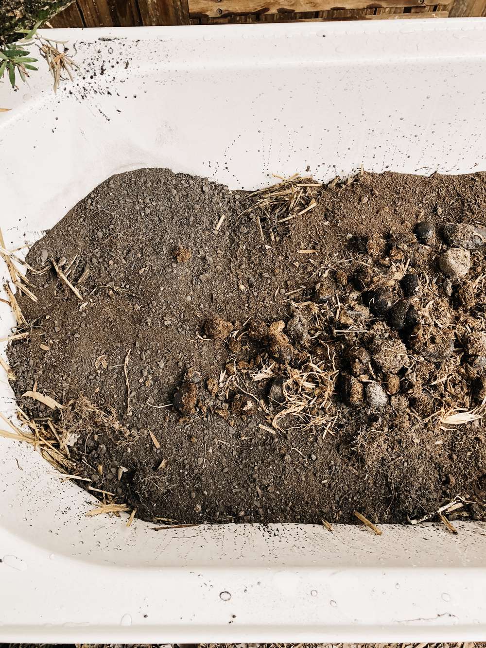 How to make a bathtub worm farm - Brisbane Sustainability Agency