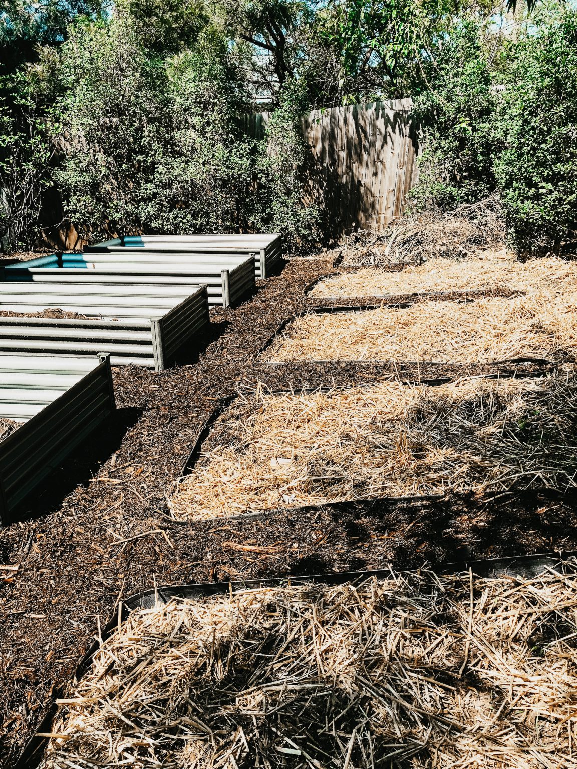 Transforming your yard into an urban farm - Brisbane Sustainability Agency