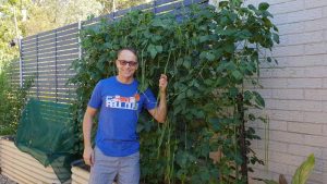Why growing snake beans is awesome - Brisbane Sustainability Agency