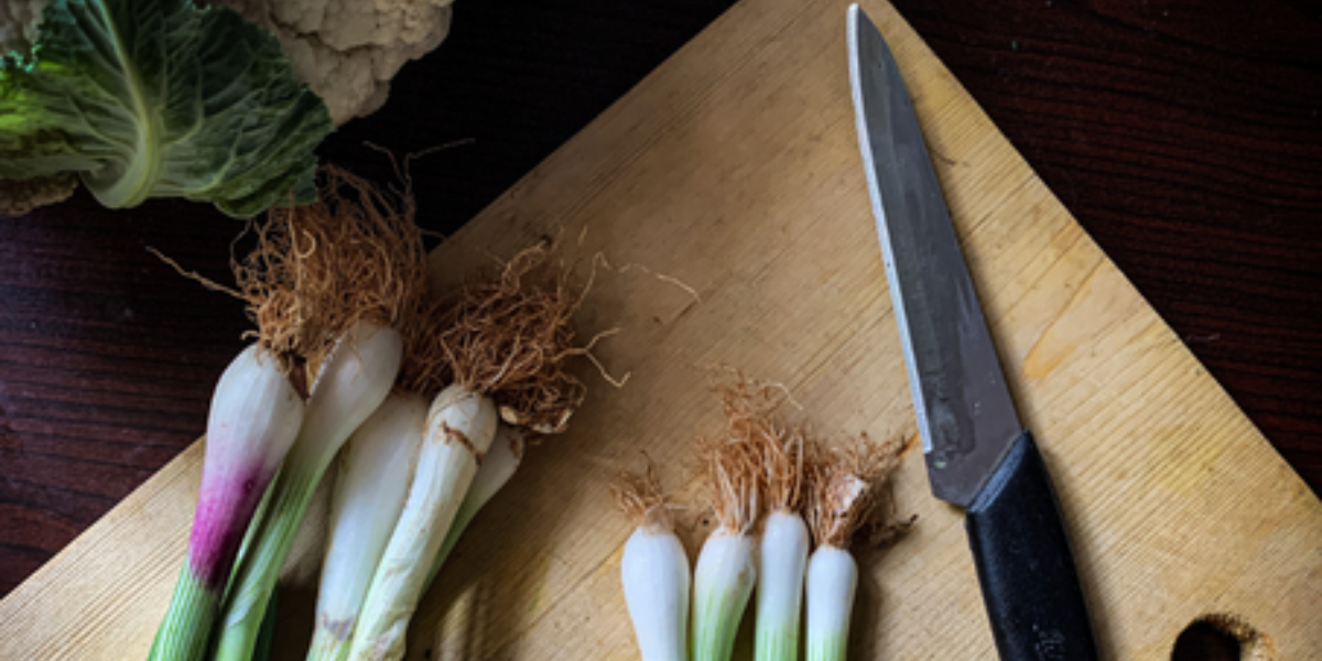 Grow fresh food from vegetable scraps - Brisbane Sustainability Agency