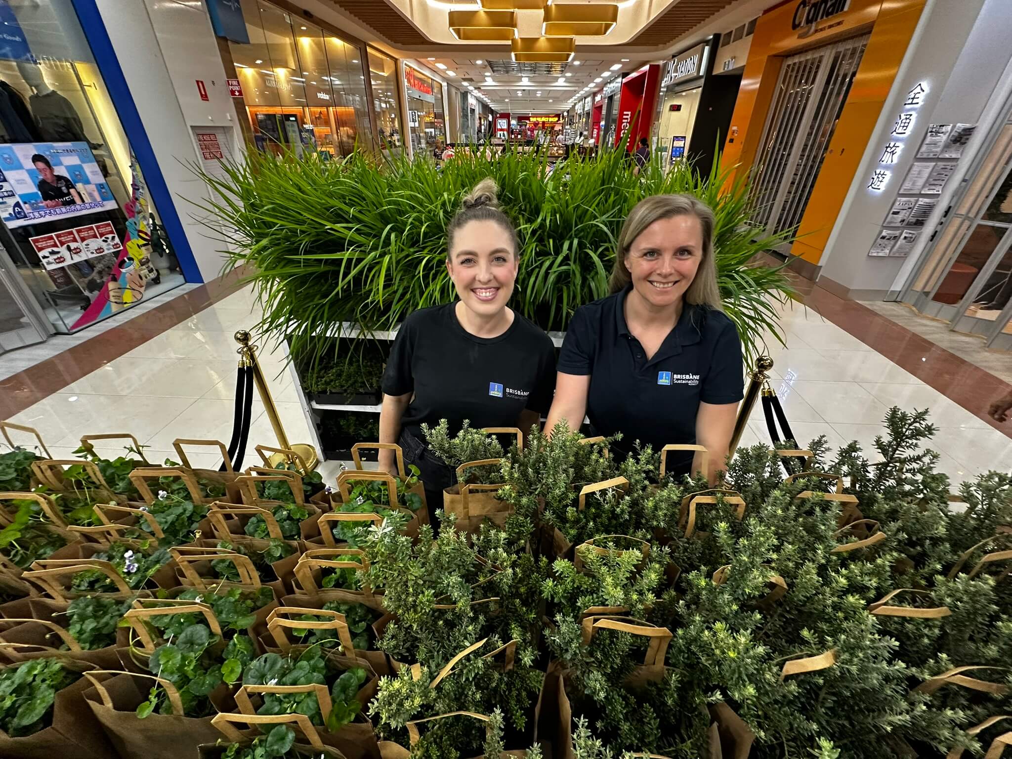 Getting started with your native plants - Brisbane Sustainability Agency