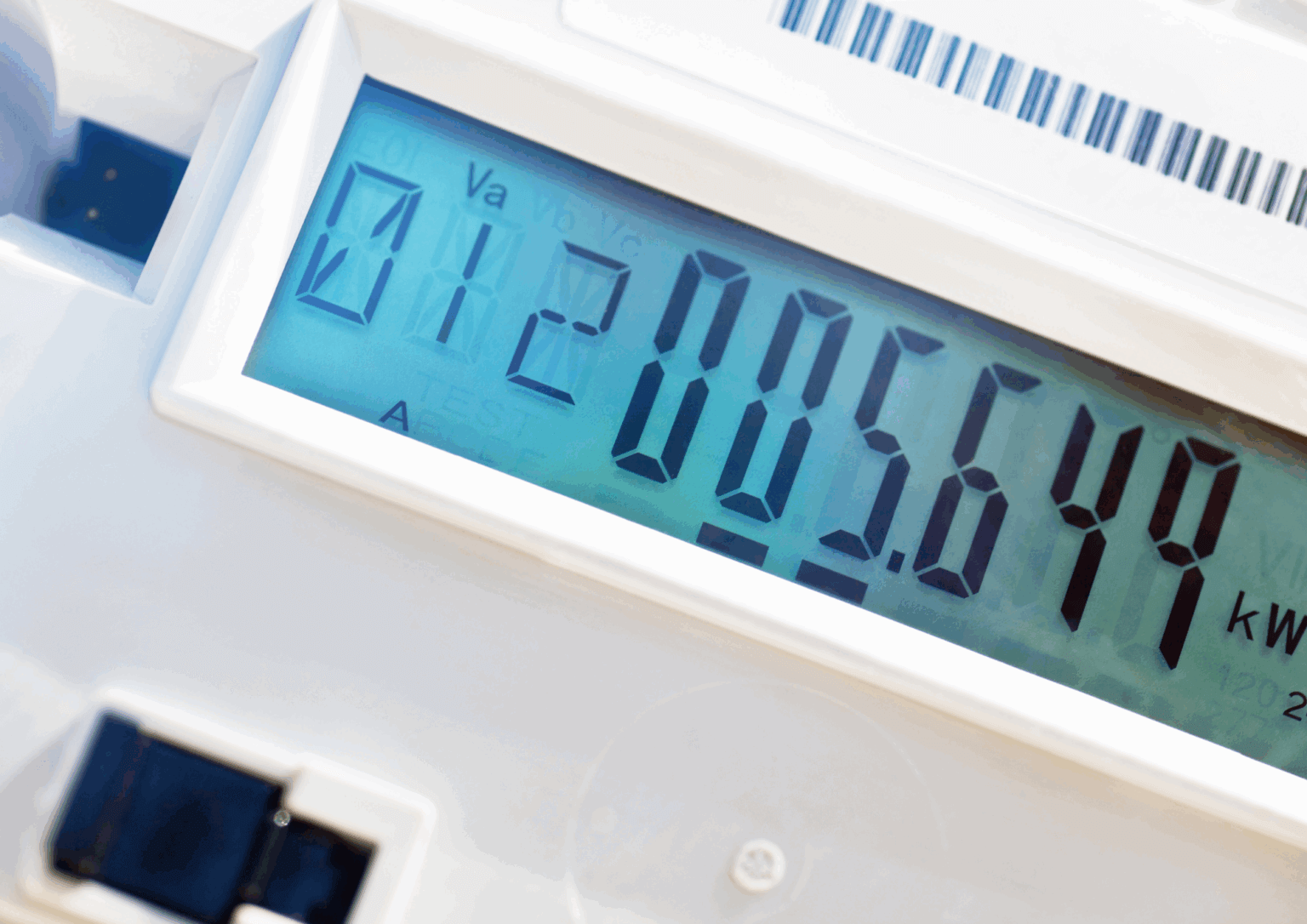 Fast growing edibles for spring in South East QLD - Brisbane ...